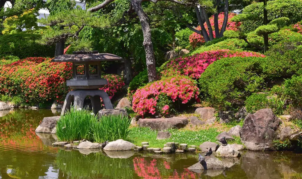 Events for November 2024 – FATHERS SHAPING FUTURES